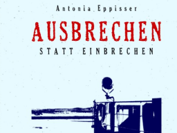 ausbrechen statt einbrechen - ein kostenloses Webinar von Antonia Eppisser